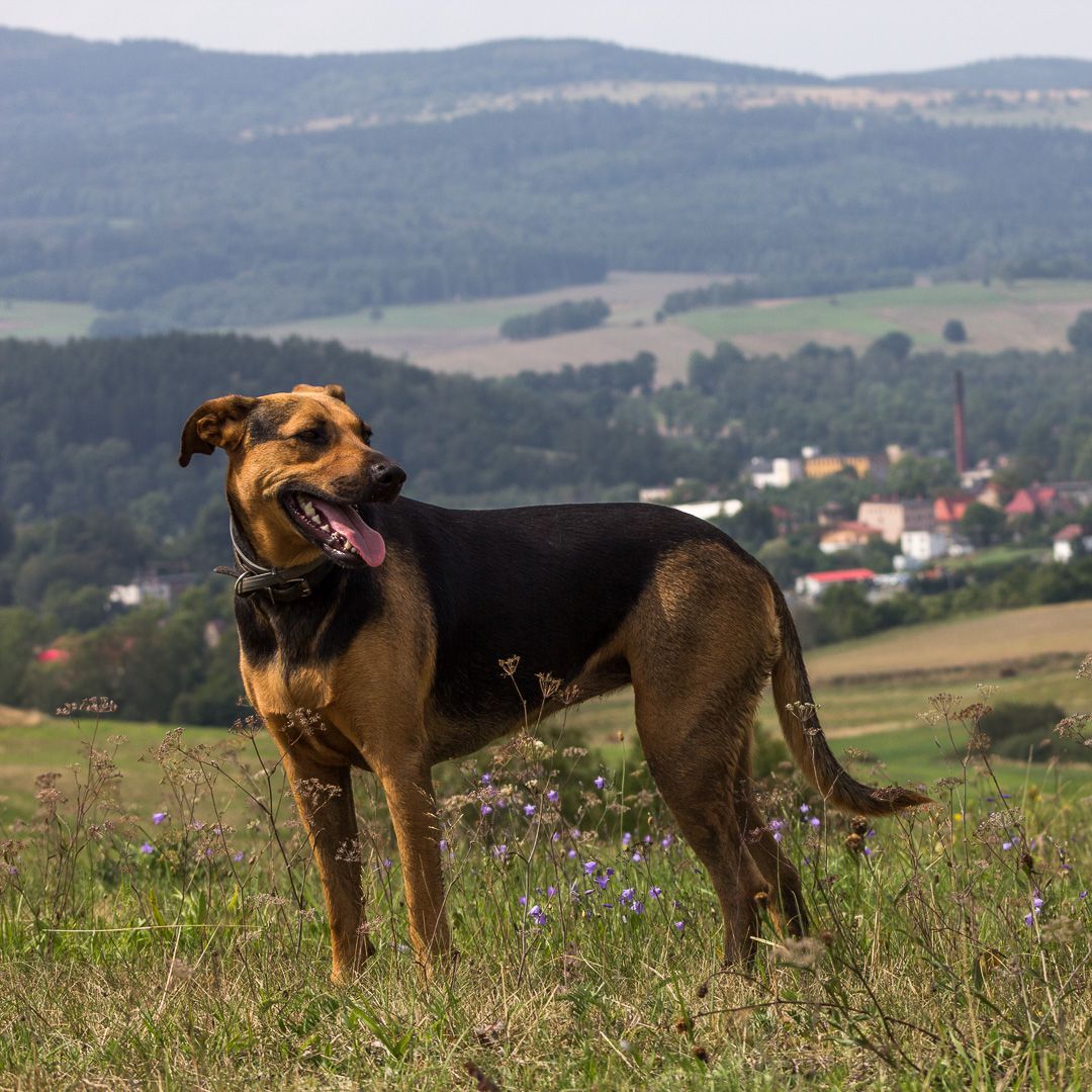 Agro-Pustelnik – discover and book on Slowhop.com