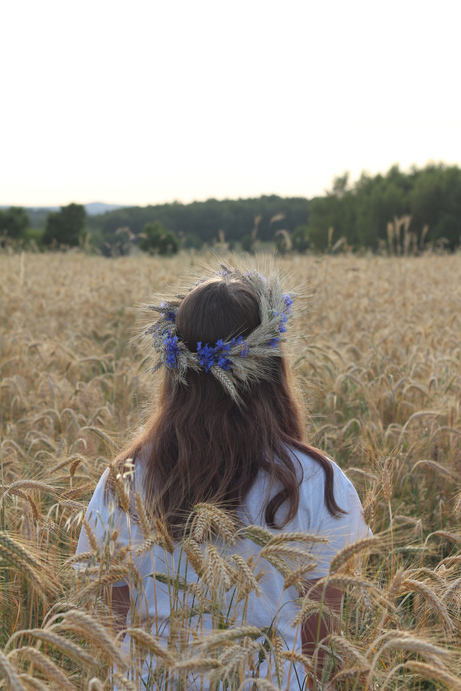 Pole Ryżowe – see photos on Slowhop.com