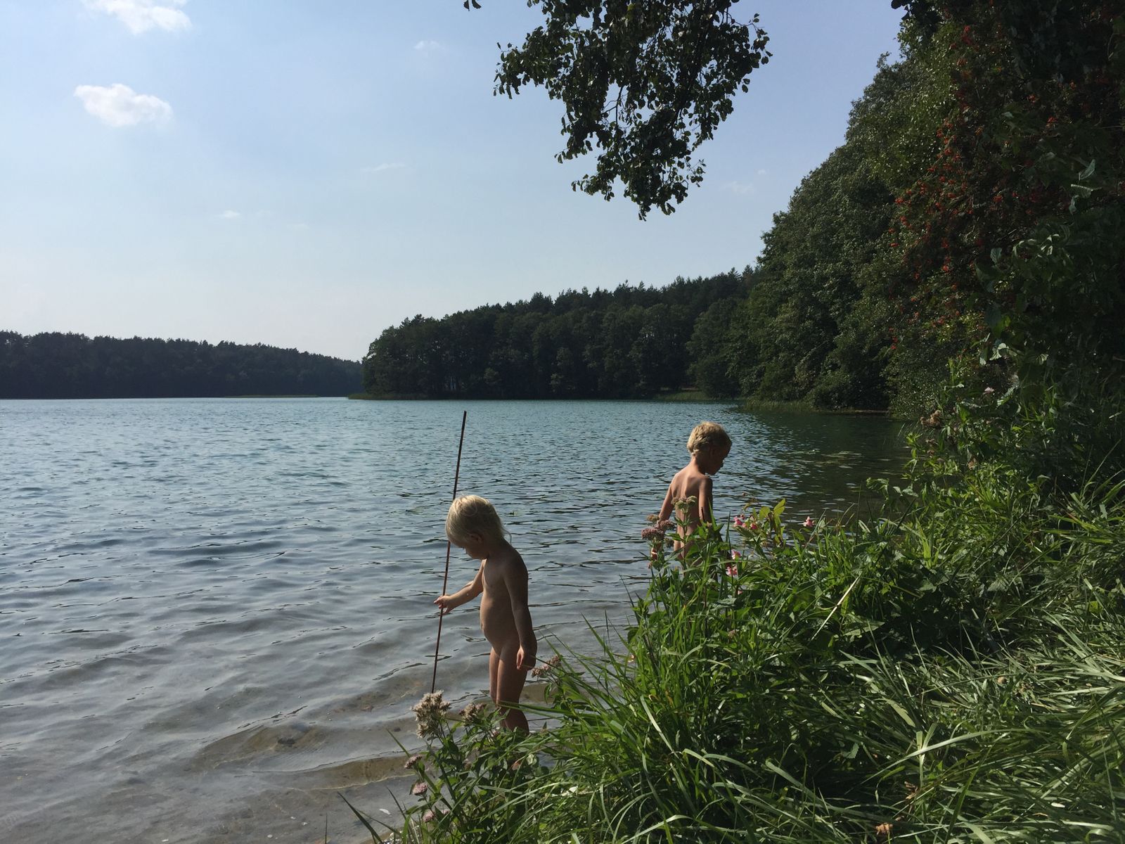 Jelonki 2 // kameralnie w dzikich chaszczach - odkrywaj i rezerwuj na ...