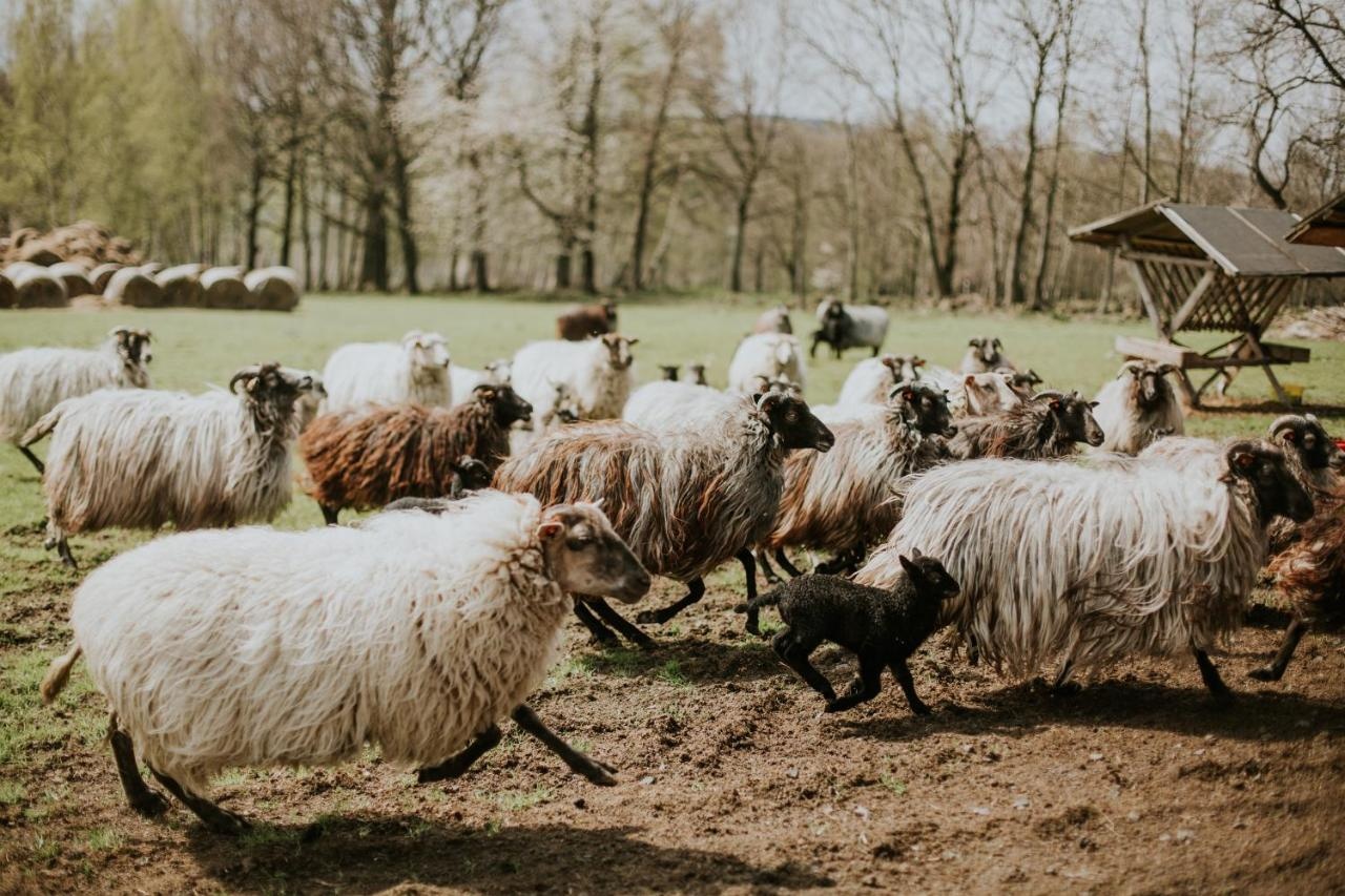 Czarne Barany – discover and book on Slowhop.com