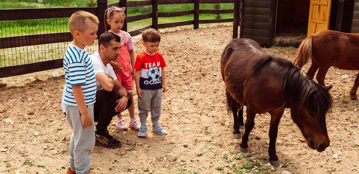 Kraina Poraj - odkrywaj i rezerwuj na Slowhop.com