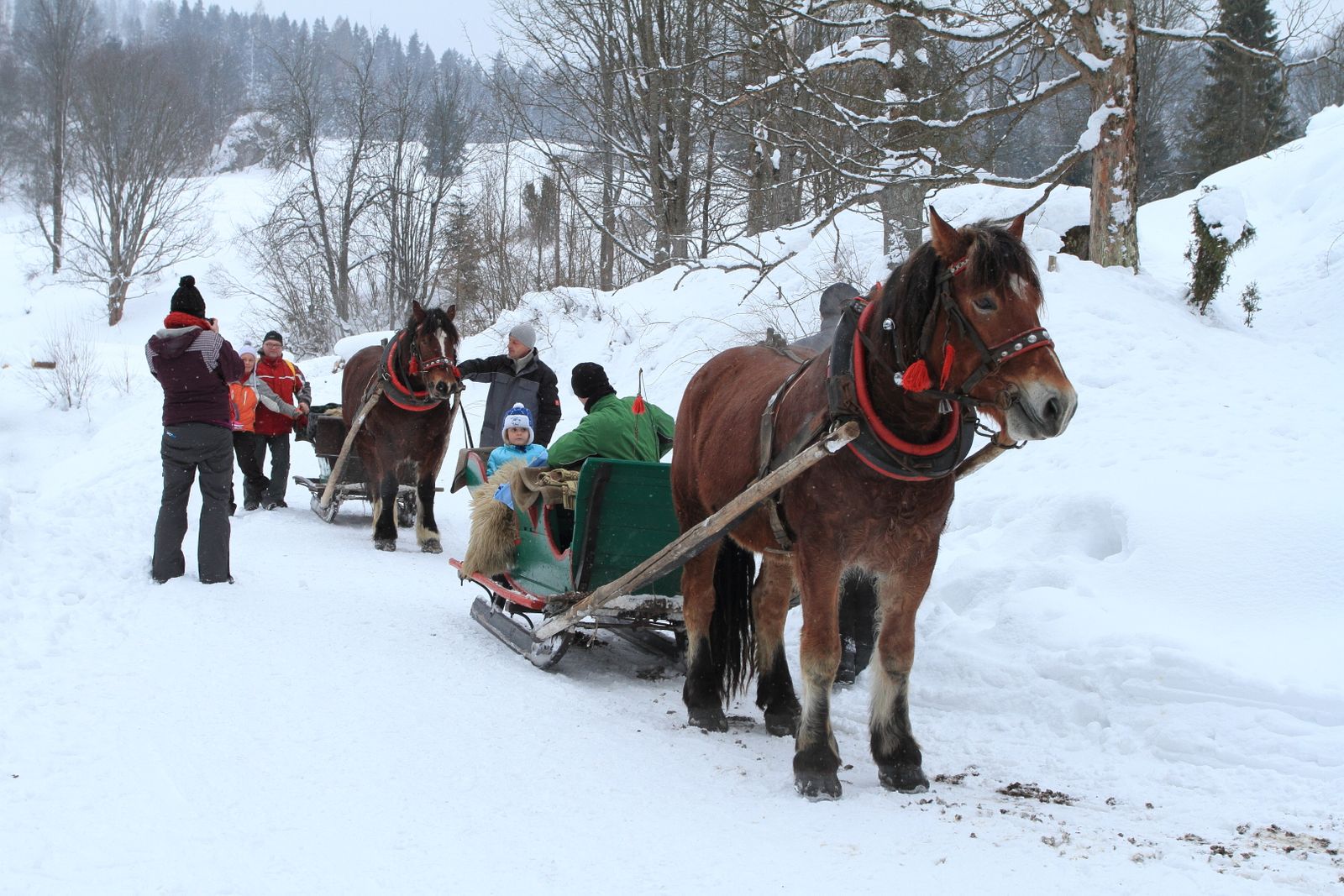 Jasielnik - tu nic nie ma - odkrywaj i rezerwuj na Slowhop.com